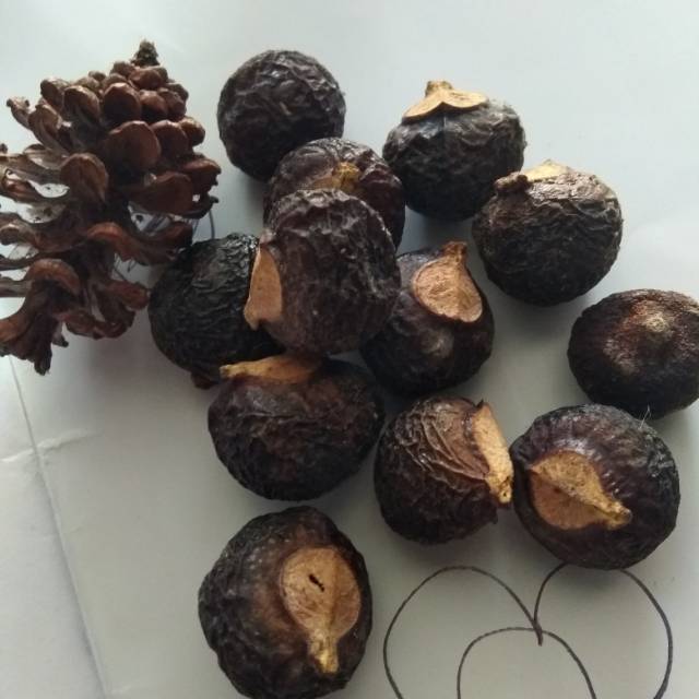 Buah Lerak | Shopee Indonesia