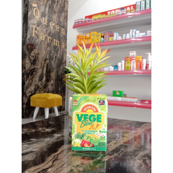 Jual Vegeblend 21 Junior 30 kapsul - Ekstrak 21 Jenis Sayuran ...