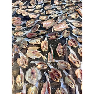 Jual ikan asin gerabah / belahan / gulama / samge 500 gr Indonesia ...