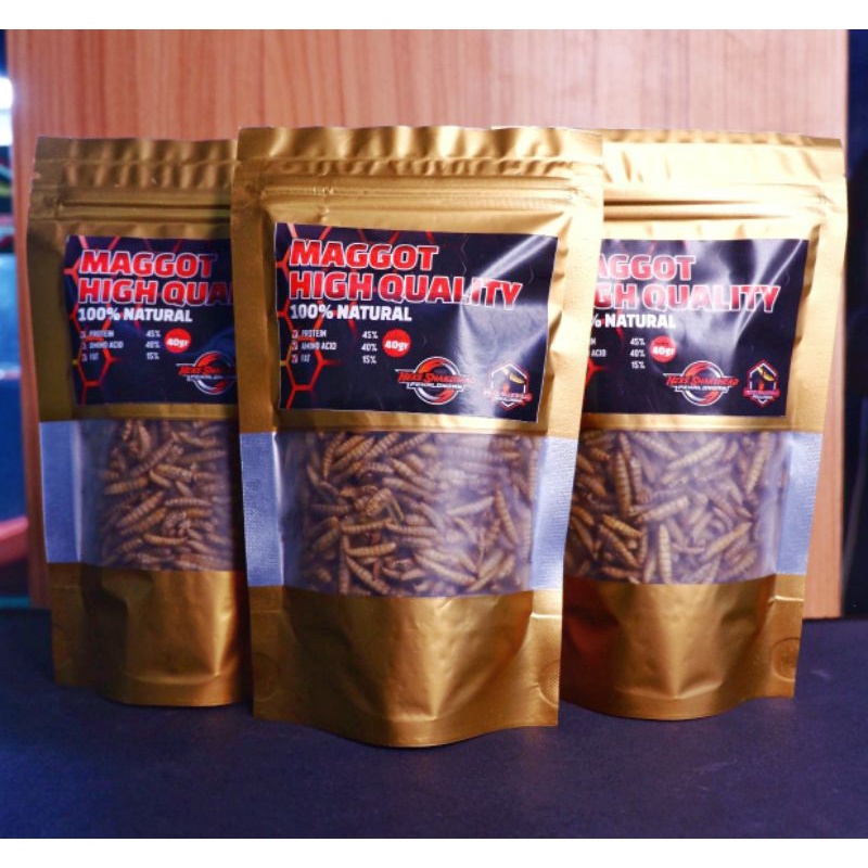 Jual MAGGOT HIGH QUALITY | Shopee Indonesia