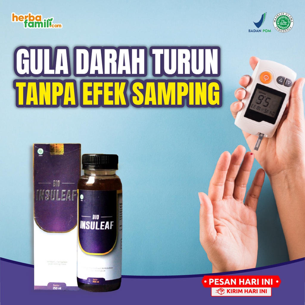 Jual Bio Insuleaf Obat Diabetes & Kolesterol Bioinsuleaf Isi 250 ml ...