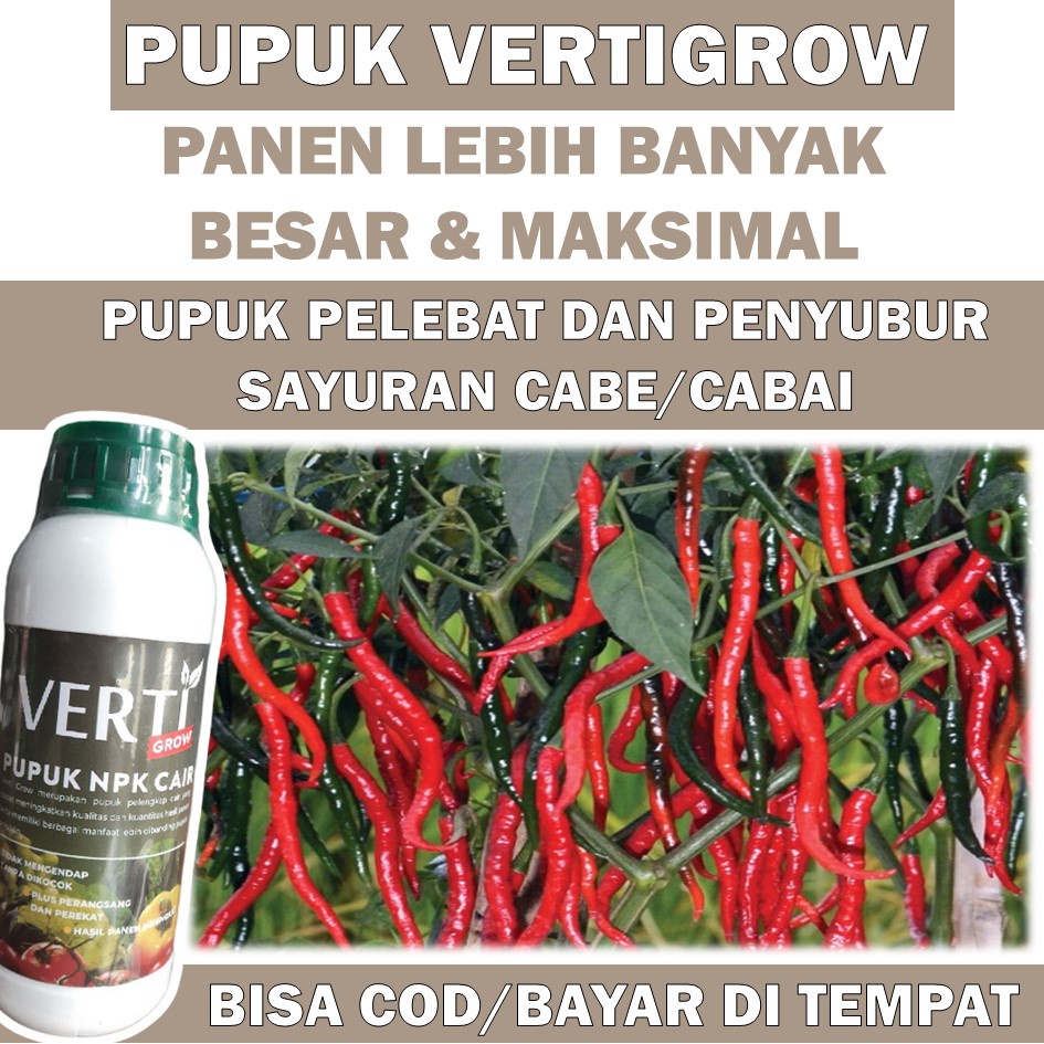 Jual VERTI-GROW PUPUK NPK TERBAIK MELEBATKAN CABE/CABAI Buah Cabe/Cabai Menjadi Besar dan Sehat ...