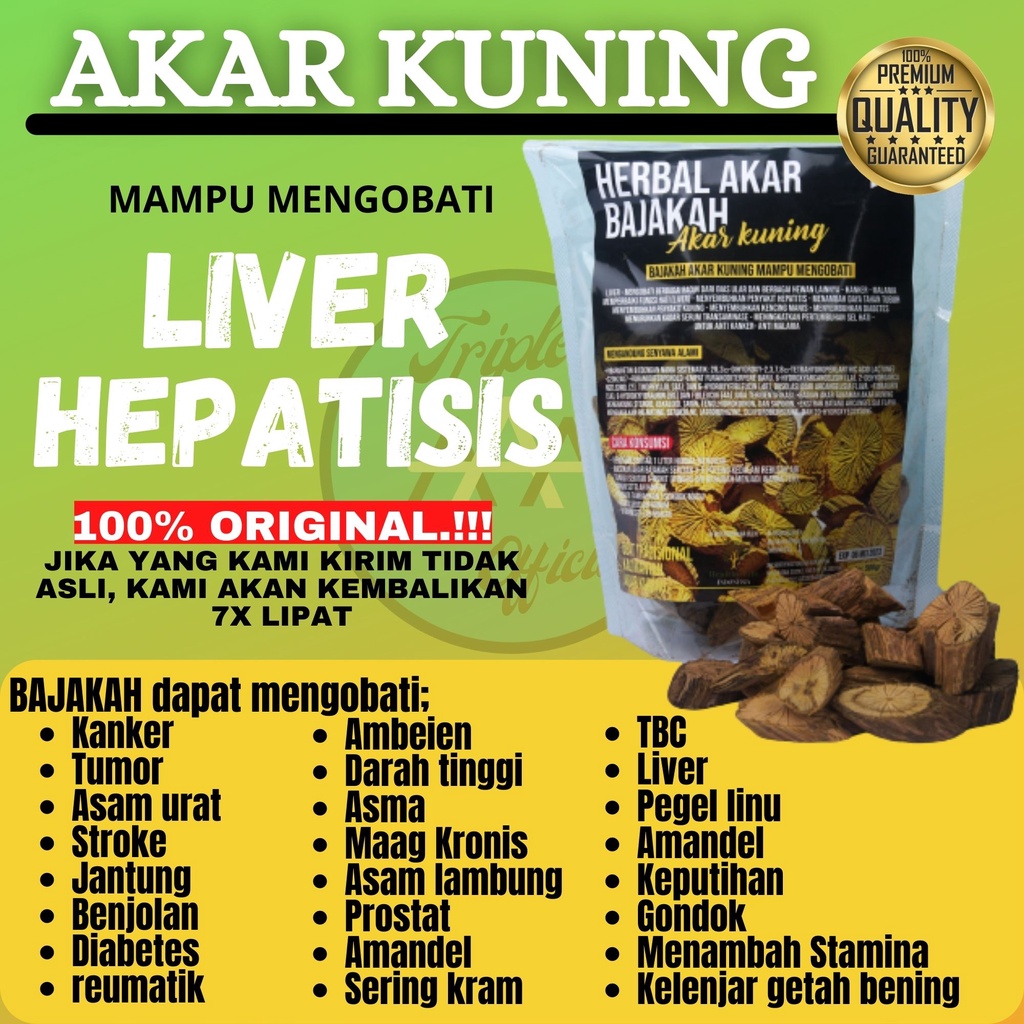 Jual Akar Bajakah Asli Kalimantan Kayu Bajakah Akar Kuning Tampala ... Jual Akar Bajakah Asli Kalimantan Kayu Bajakah Akar Kuning Tampala ...