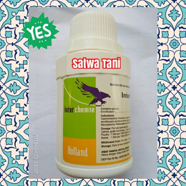 Jual Interflox oral 100 ml (obat pernafasan dan pencernaan ampuh ...