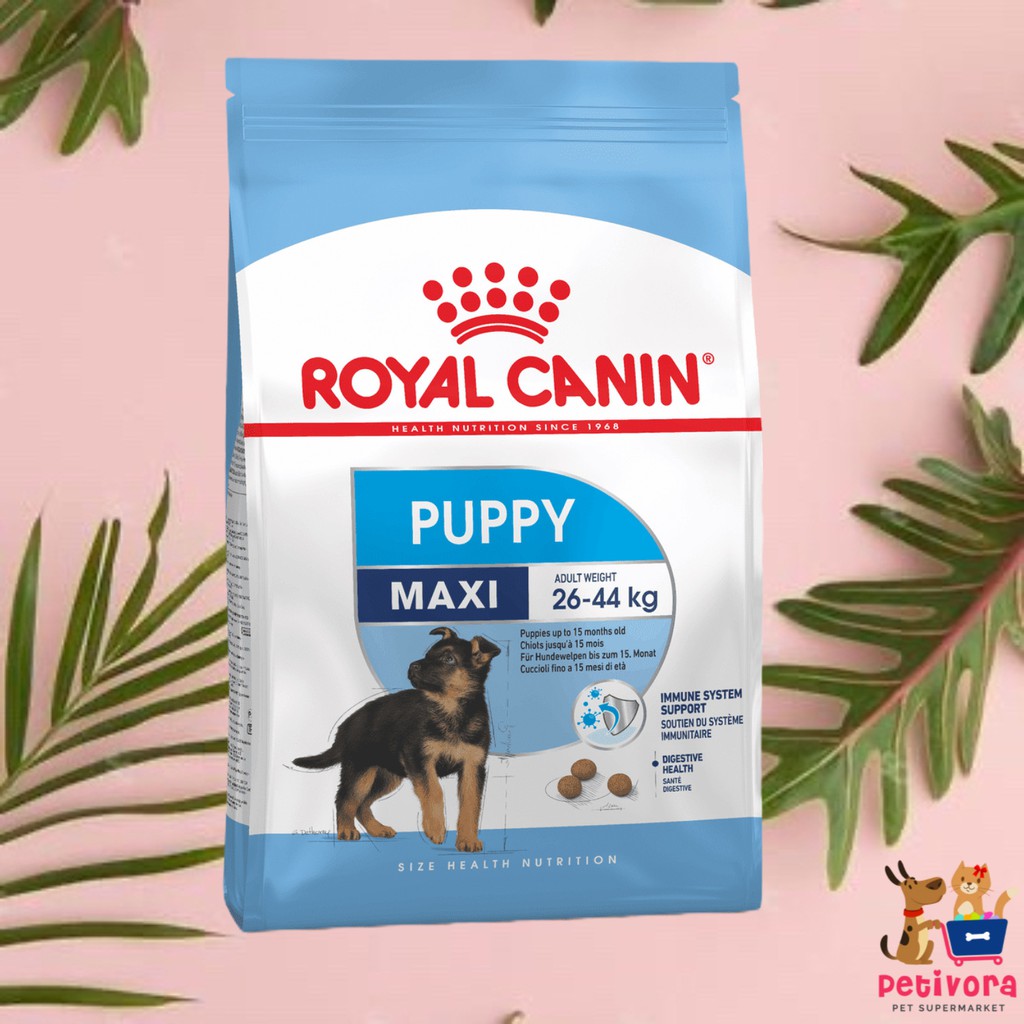 Harga Royal Canin Puppy 4 KG Terbaru Jun 2026 | BigGo Indonesia