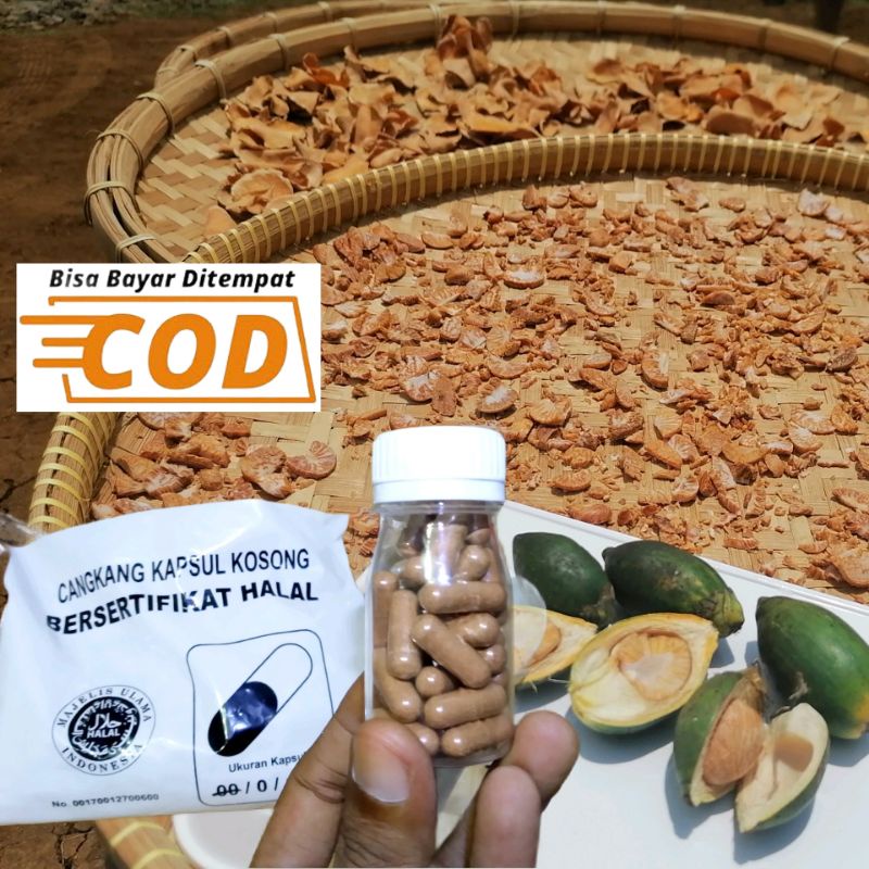 Jual Kapsul Pinang Muda Asli Isi 30 kapsul Indonesia|Shopee Indonesia