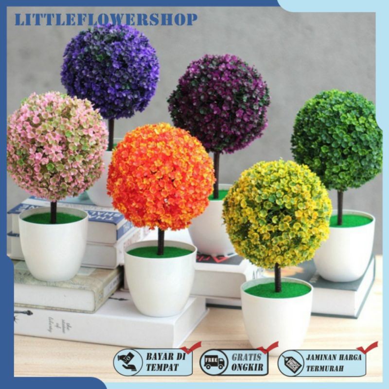 Jual COD / BONSAI BULAT POT BULAT PUTIH TANAMAN BONSAI BENTUK BULAT ...