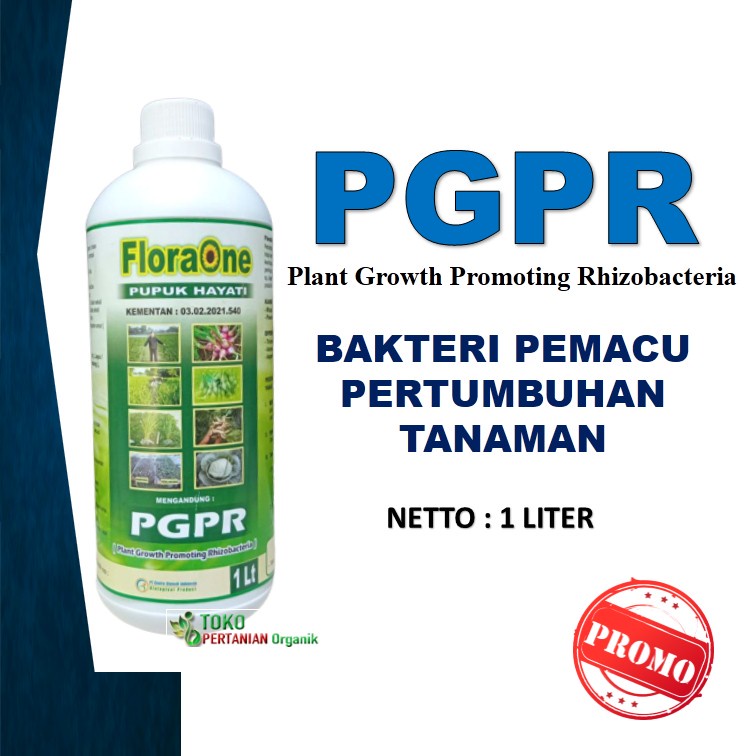 Jual PGPR 1 Liter TANAMAN SEBAGAI BIOPROTECTANT PADA TANAMAN, Pupuk Fungisida Hayati Tricoderma ...