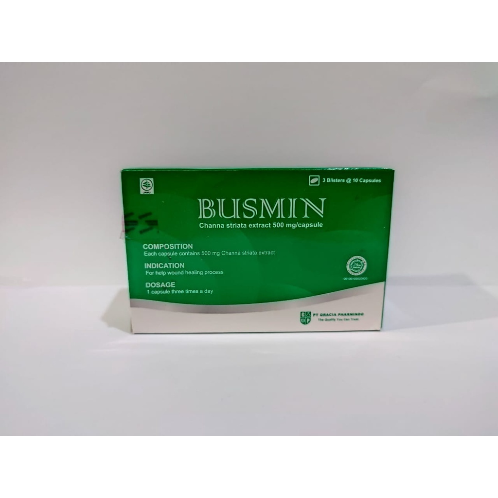 Harga Busmin Terbaru Januari 2023 |BigGo Indonesia