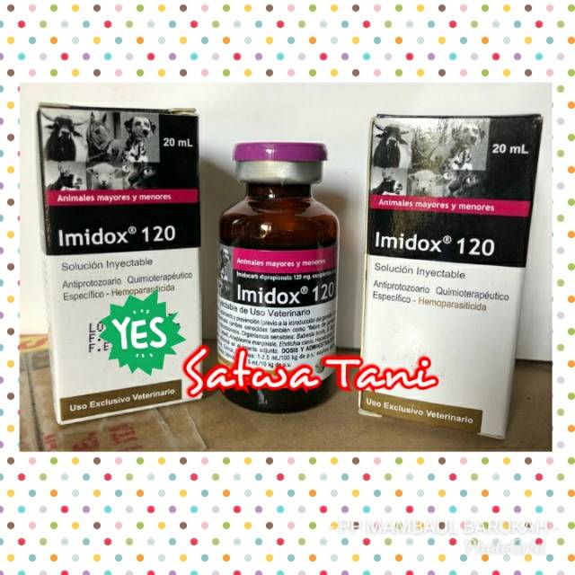 Jual IMIDOX® 120 (Antiprotozoal hematicide Agent ) | Shopee Indonesia