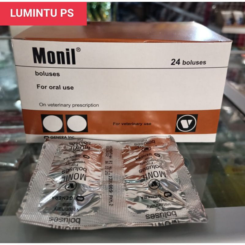 Jual MONIL 1box (24 boluses) | Shopee Indonesia
