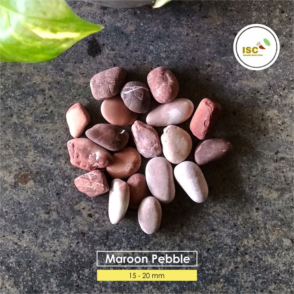 Jual Batu Koral Merah Maron 5Kg | Shopee Indonesia