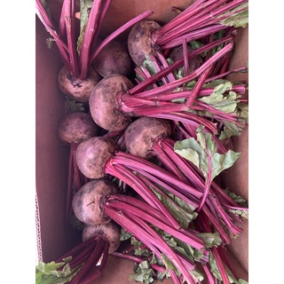 Jual BUAH BIT MERAH 1 kg - KHUSUS SAMEDAY INSTANT | Shopee Indonesia