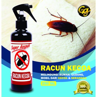 Jual Racun Kecoa Super Ampuh PEMBUNUH KECOAK RACUN KECOAK RACUN ...