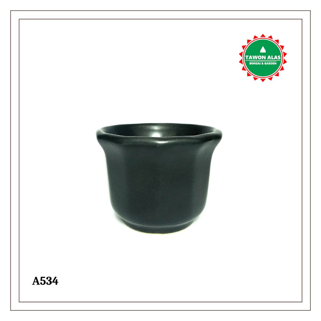 Jual Pot Bonsai Keramik Mini Shito Mame | Shopee Indonesia Jual Pot Bonsai Keramik Mini Shito Mame | Shopee Indonesia