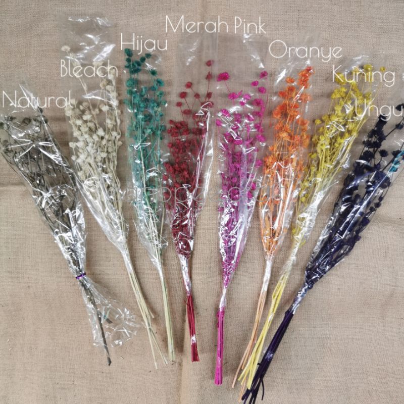 Jual 1 IKAT BUNGA KERING TAPAK LIMAN UNTUK PROPERTI FOTO / DEKORASI ...