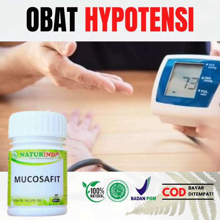 Jual Obat Herbal Atasi Darah Rendah Hipotensi Dan Tekanan Darah Rendah ...