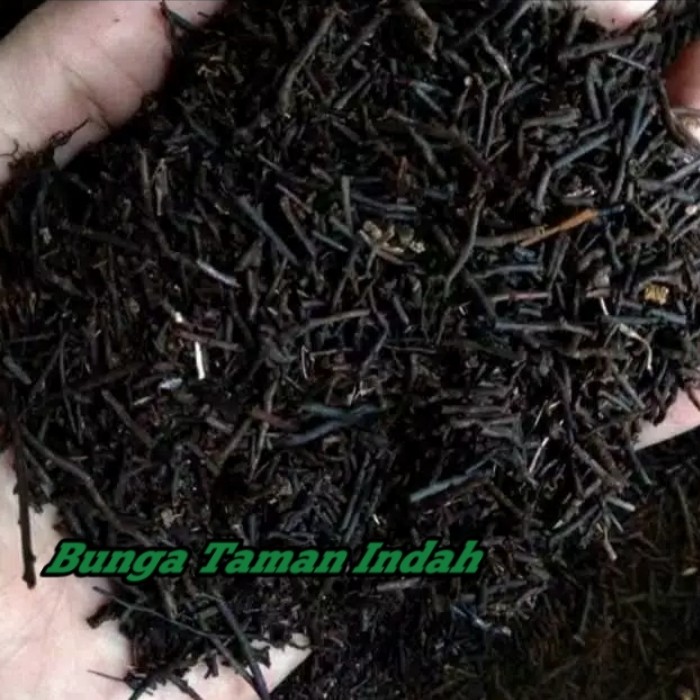 Jual Media Taman Pakis Cacah - Media Tanam Anggrek 1Kg | Shopee Indonesia