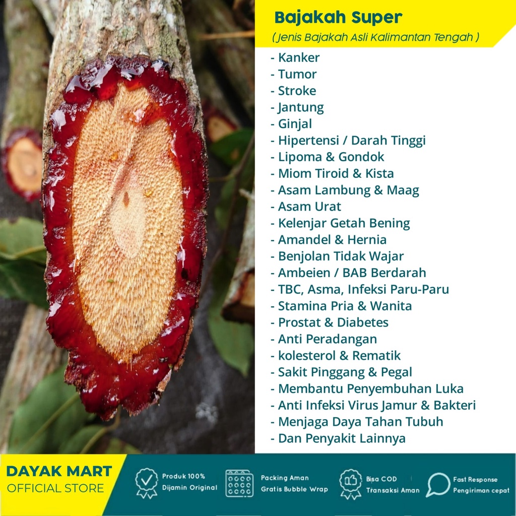 Harga Bajaka Terbaru November 2022 |BigGo Indonesia