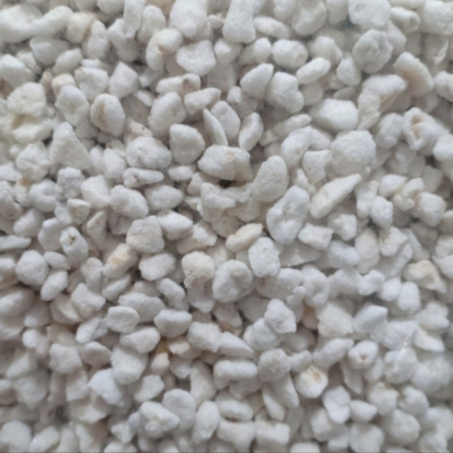 Jual Perlite Media Tanam Hidroponik / Media Campuran Untuk Tanaman Hias ...