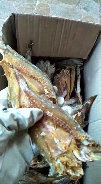 Jual Ikan Asin KEPALA BATU / GULAMA / GULAMO / SAMGE BELAH 250 gr cap ...