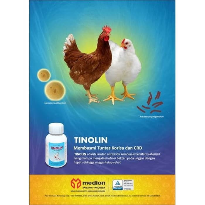 Harga tinolin Terbaru Jan 2026 | BigGo Indonesia