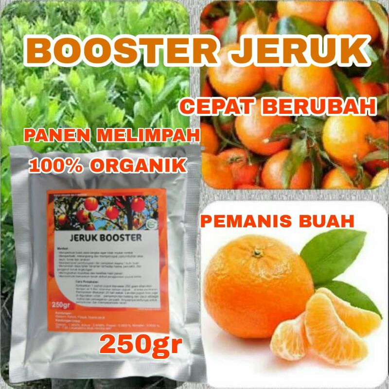 Jual PUPUK BOOSTER ORGANIK BUAH JERUK AGAR CEPAT BERBUAH Indonesia|Shopee Indonesia