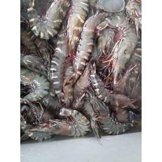 Jual Udang Tiger/Sitto/Windu 500gr plaraseafood | Shopee Indonesia
