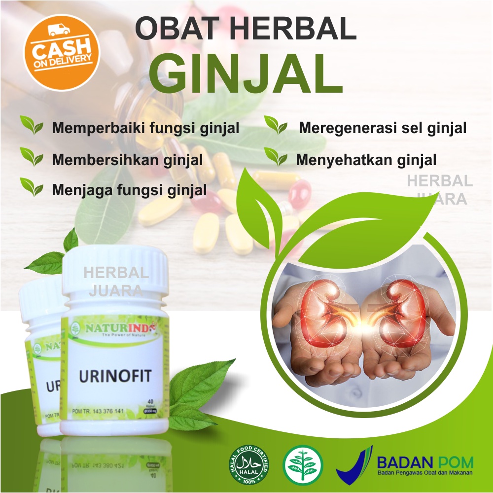 Jual Obat Ginjal Pembersih Saluran Kencing Detox Ginjal Gagal Ginjal ...