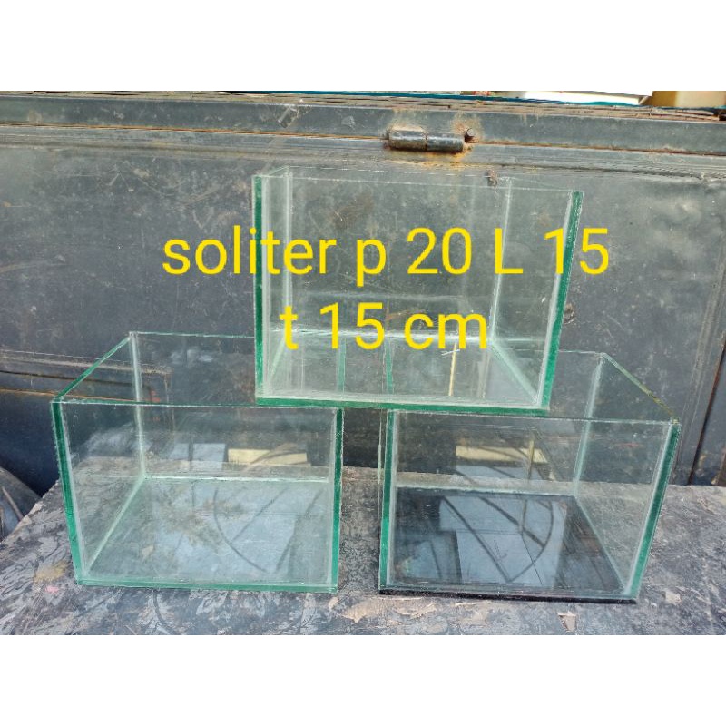 Jual soliter ikan cupang size P 20 L 15 t 15 cm | Shopee Indonesia