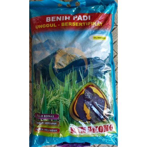 Jual Benih Padi Unggul Siliwangi Cap Kingkong 5 Kg | Shopee Indonesia