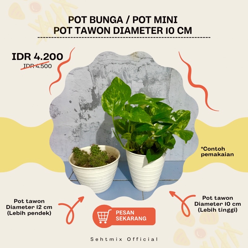 Jual Pot Bunga Pot tawon 101 Pot Tawon Pirus / Tirus / Tinggi Diameter ...