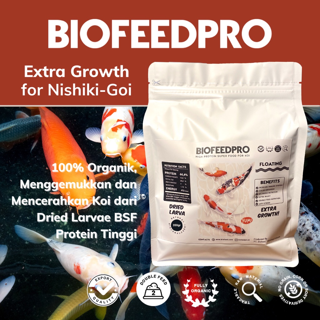 Jual Biofeedpro BSF Maggot Suplemen Koi Tinggi Protein 350gr | Shopee ...