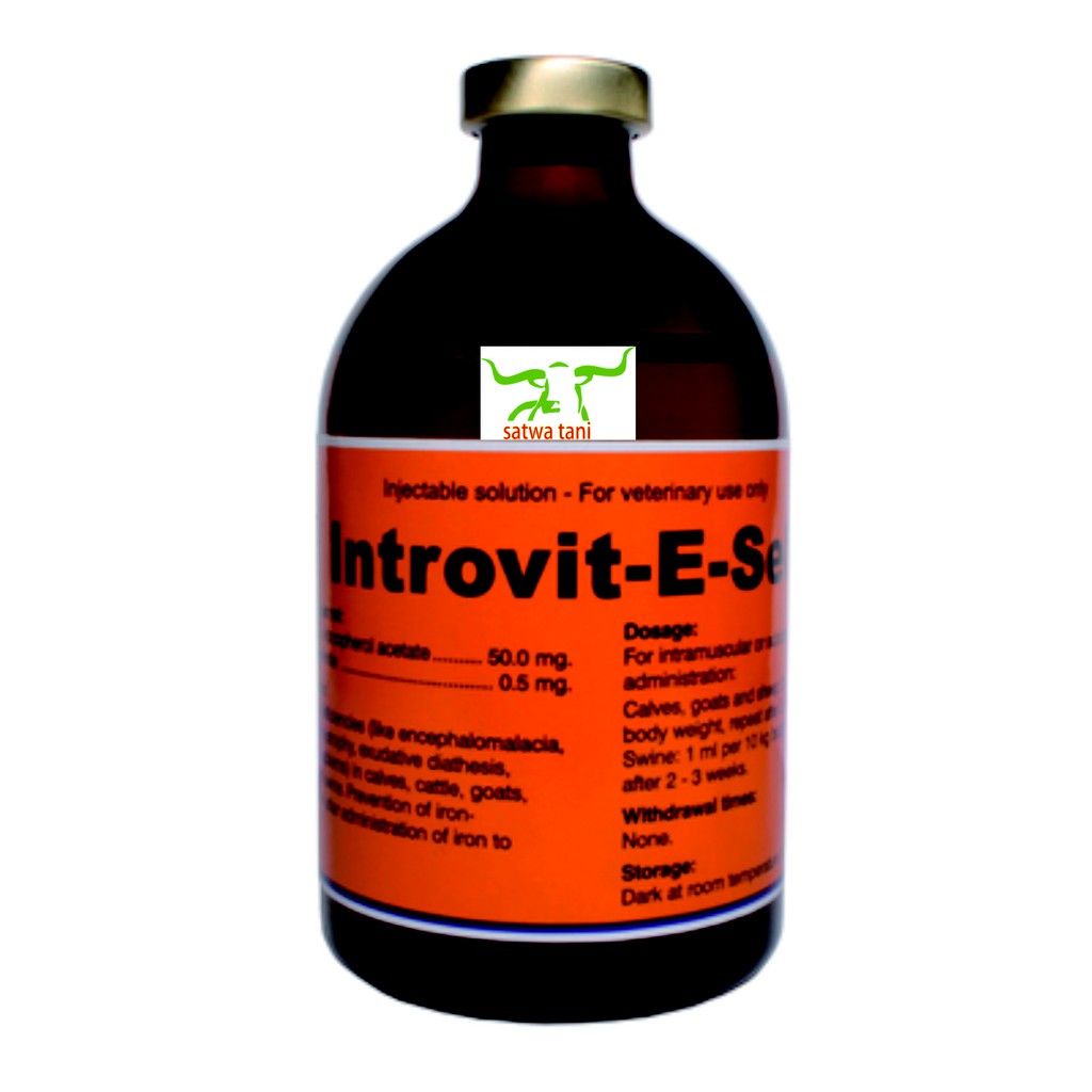 Jual Introvit E-Selen (Vitamin E Injeksi) | Shopee Indonesia