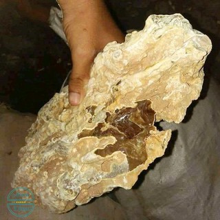 Jual BATU DAMAR / Getah Damar Meranti Selo Batu Resin Natural gum 500GR ...
