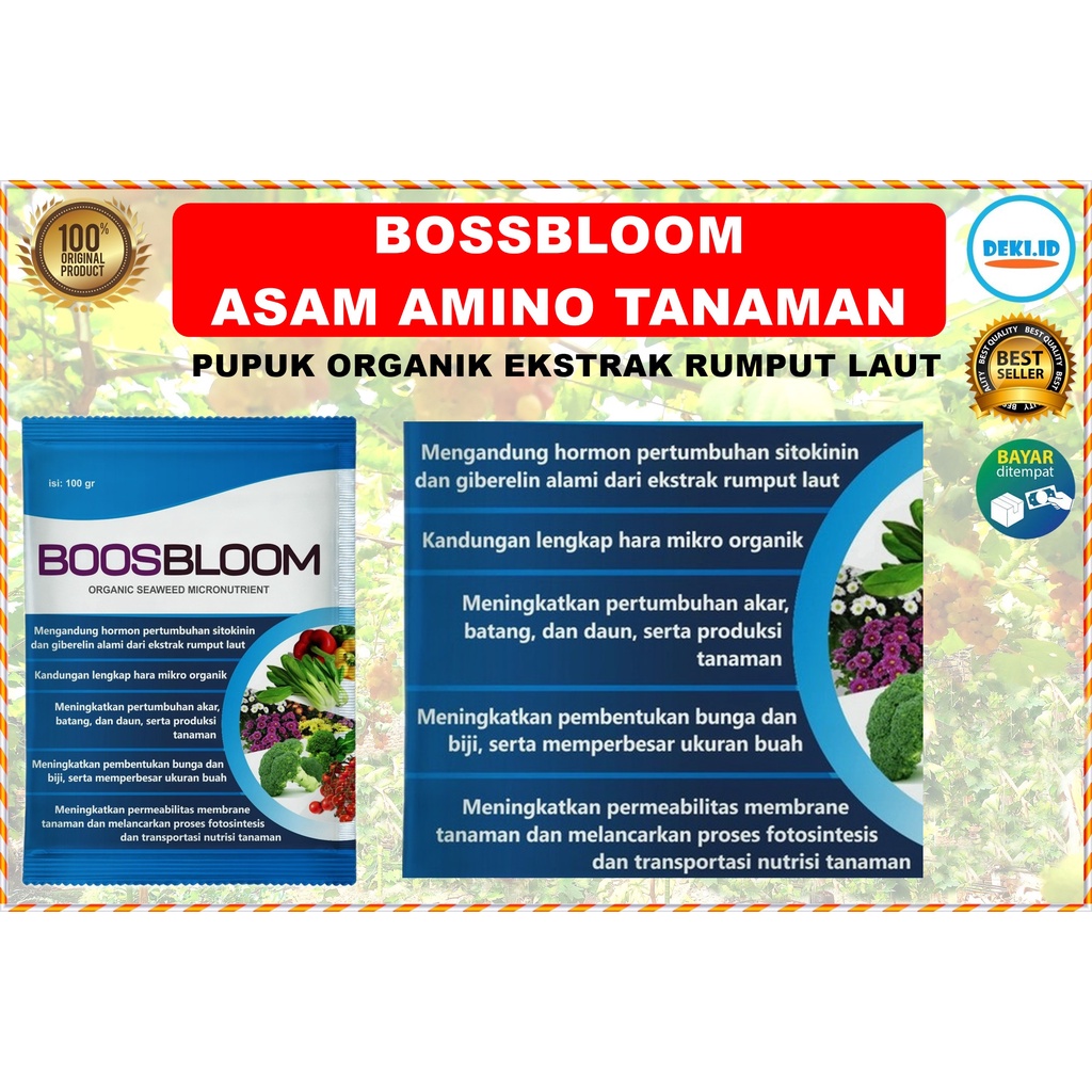 Jual Pupuk Organik Rumput Laut Asam Amino Tanaman Boosbloom Ekstrak ...