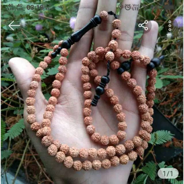 Harga Tsbih Terbaru Maret 2024 |BigGo Indonesia