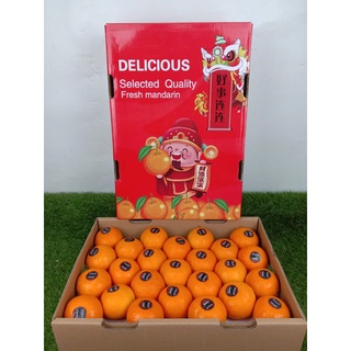 Jual Jeruk Wokam Wogan China Fresh 1box | Shopee Indonesia