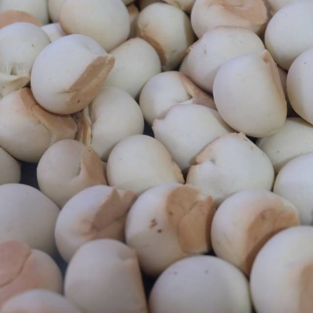 Jual Kue Nopia Mino Khas Banyumas Rasa Gula Jawa Dan Durian Original ...