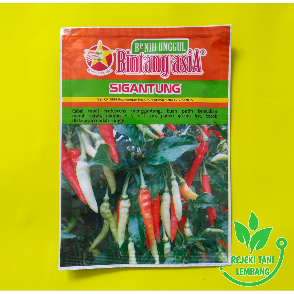 Jual Benih Cabe Rawit//Benih Cabe Rawit Sigantung by Bintang Asia 10gr ...