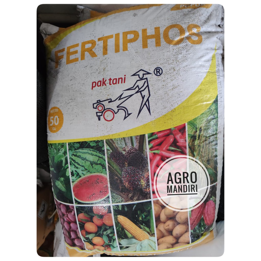 Jual Pupuk TSP / SP Fertiphos Cap Pak Tani 50 kg Perbaiki Hara Tanah ...