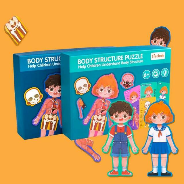 Jual Body structure puzzle / puzzle edukasi bagian tubuh manusia ...
