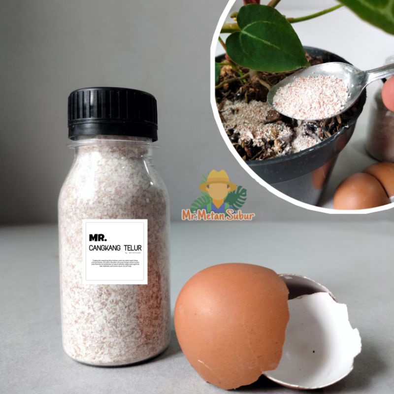 Jual Penyubur Bubuk cangkang telur steril ( nutrisi tanaman ) Alami ...