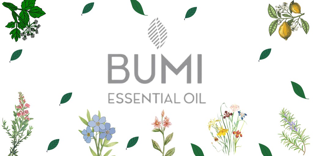 Produk Bumi Essential Oil | Shopee Indonesia