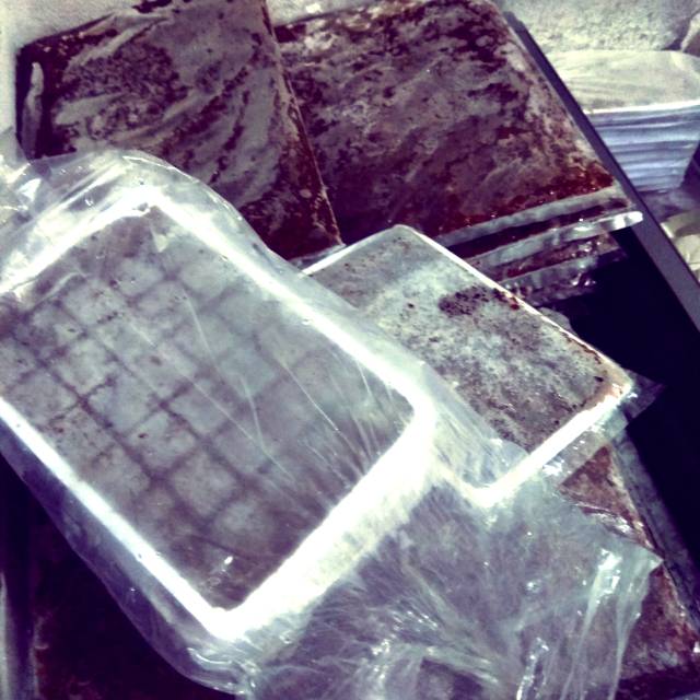 Jual Cacing Darah Beku Frozen Bloodworm kemasan tray Indonesia|Shopee ...