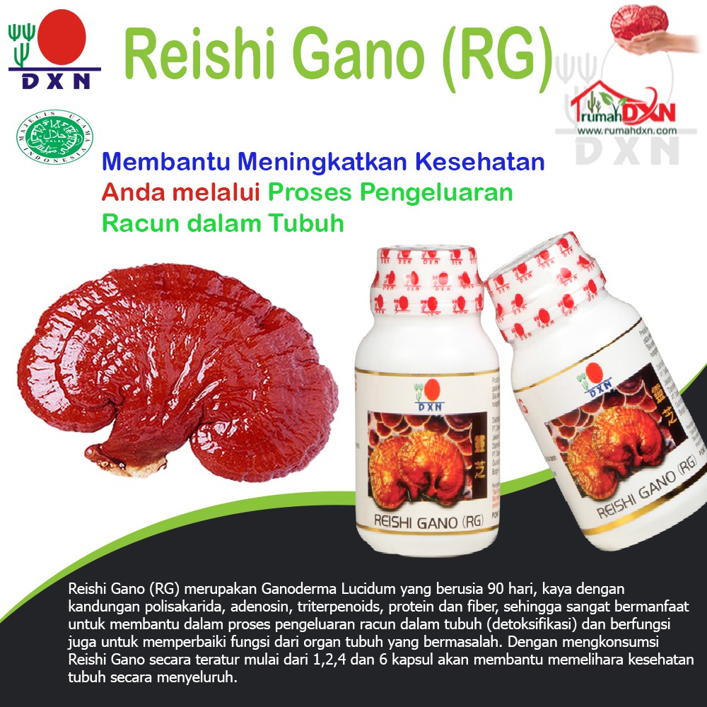 Jual ReishiGano / RG DXN 270 Kapsul | Shopee Indonesia
