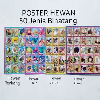 Jual Poster Edukasi Macam2 Hewan / Mainan Gambaran 50 Jenis Binatang ...