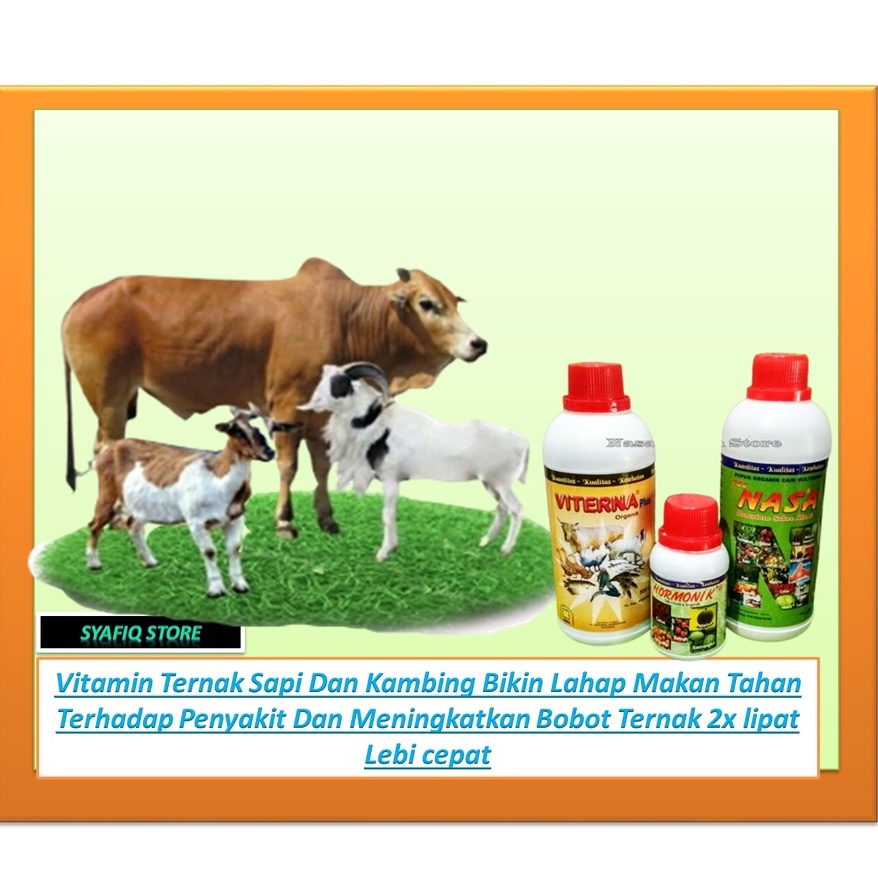 Jual Paket Ternak NASA / Vitamin Ternak Penggemuk Sapi / Paket Vitamin ... Jual Paket Ternak NASA / Vitamin Ternak Penggemuk Sapi / Paket Vitamin ...