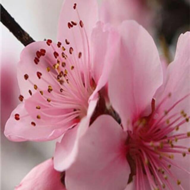 Produk esw_olshop | Shopee Indonesia