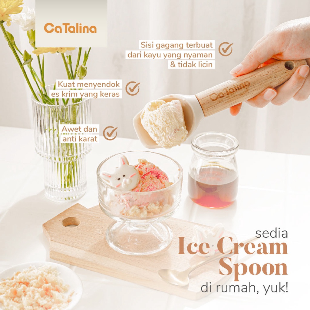Jual Sendok Es Krim Scoop Es Krim Handle Kayu Aesthetic | Shopee Indonesia